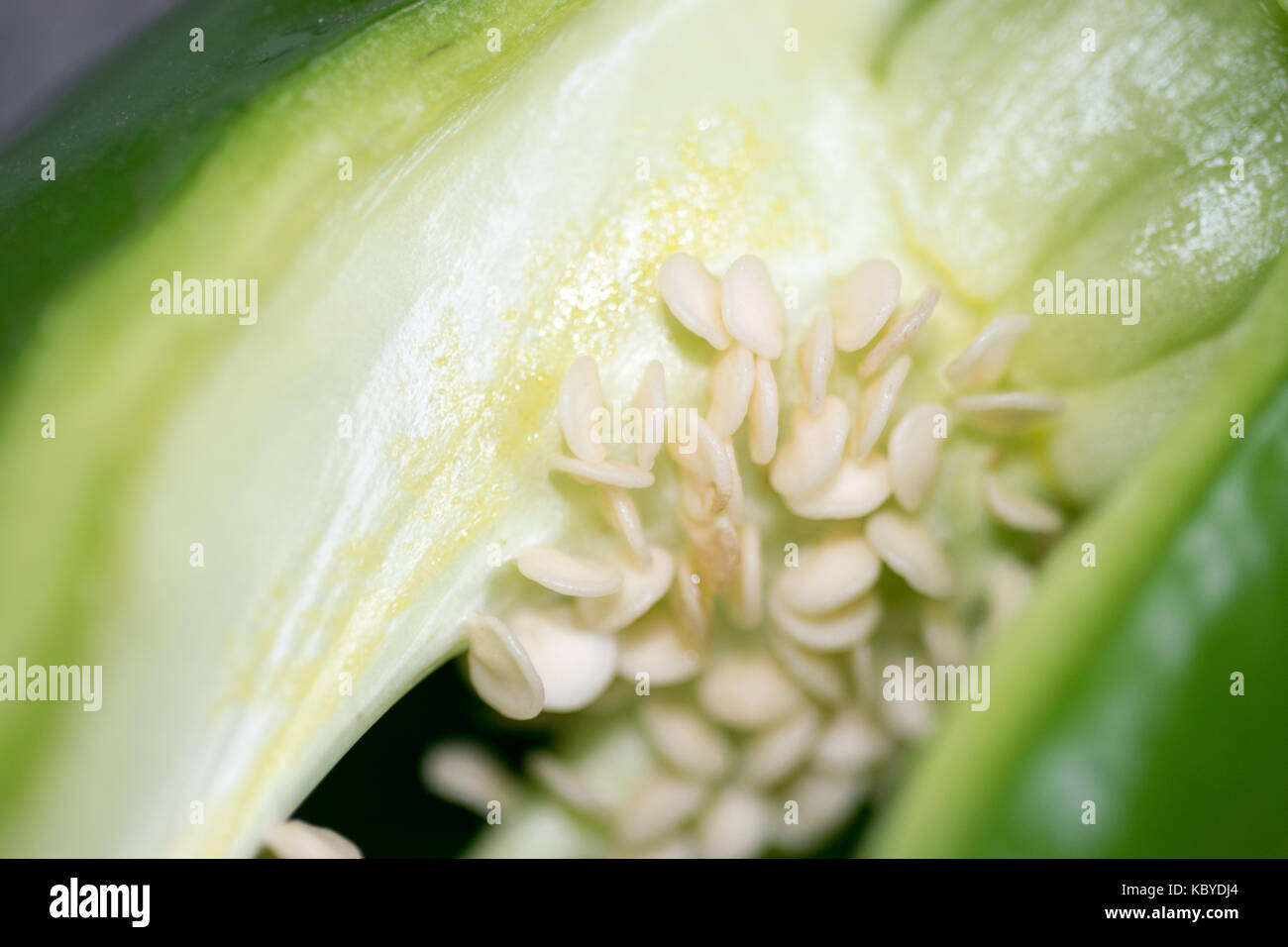 Fresh Green bell pepper seeds Stock Photo - Alamy