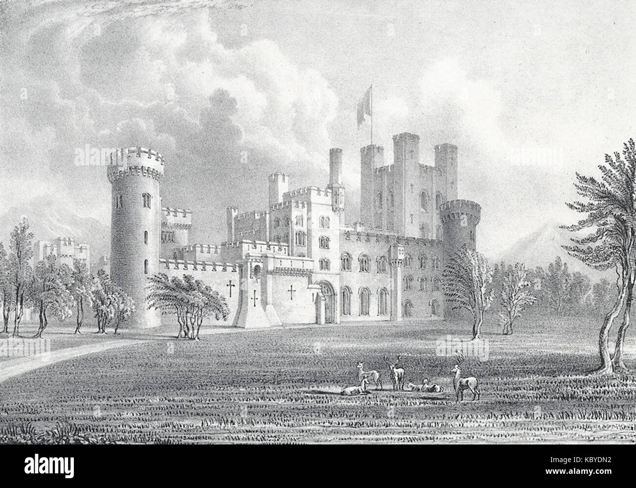Penrhyn Castle NW, Crane c. 1840 Stock Photo - Alamy