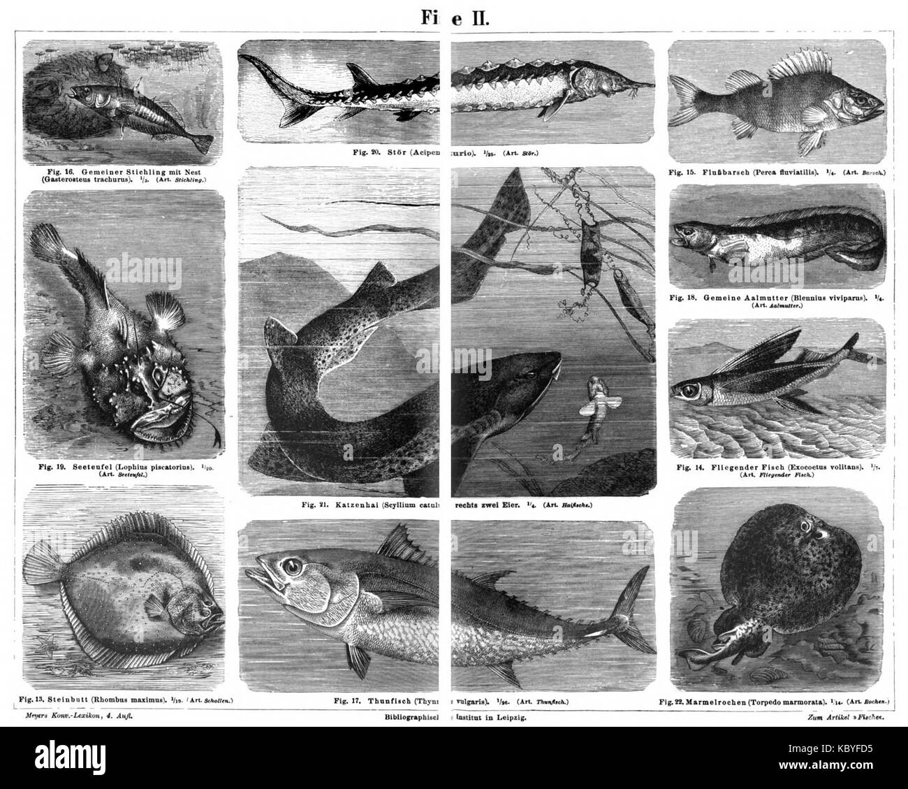 Meyers b6 s0298b refers to a specific entry in the Meyers Lexikon, a ...