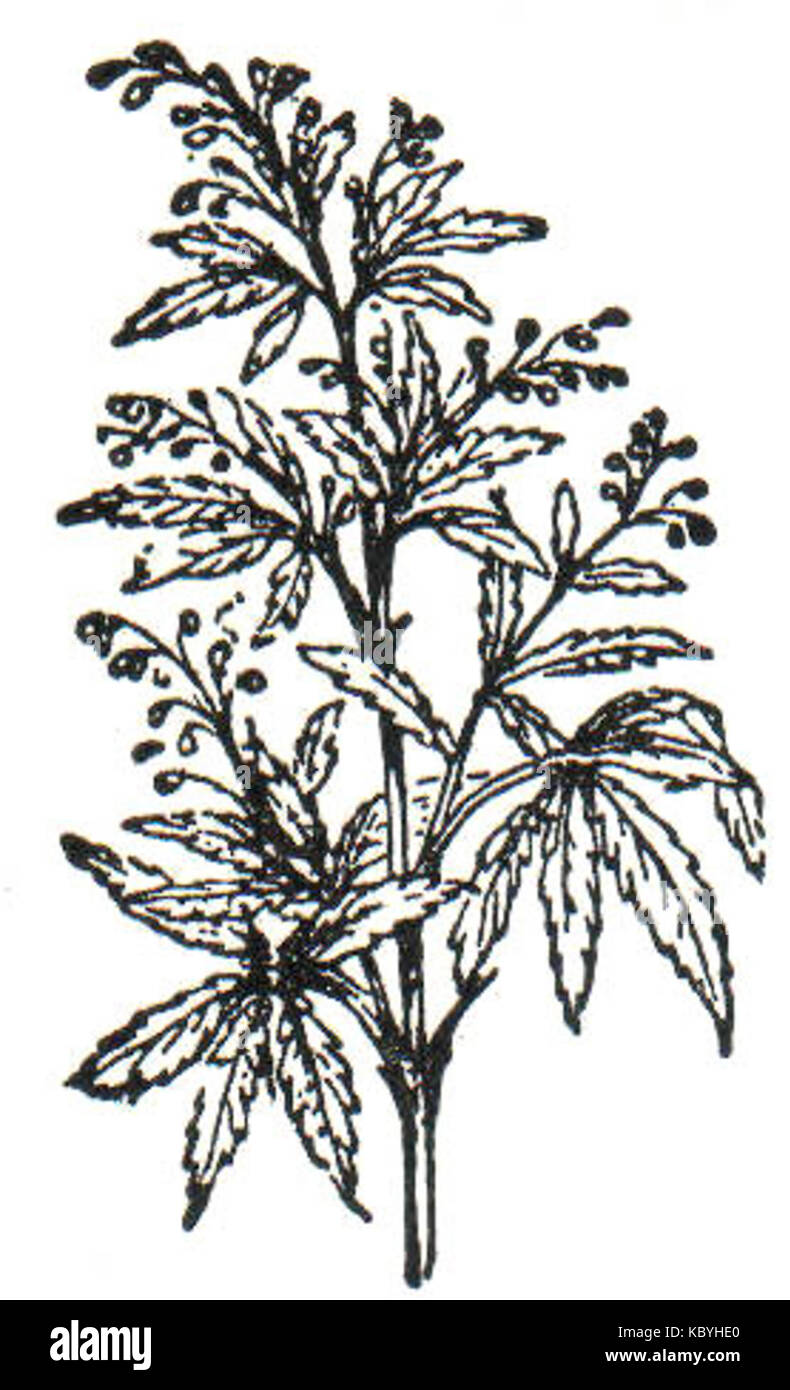 Nsrw hi-res stock photography and images - Alamy