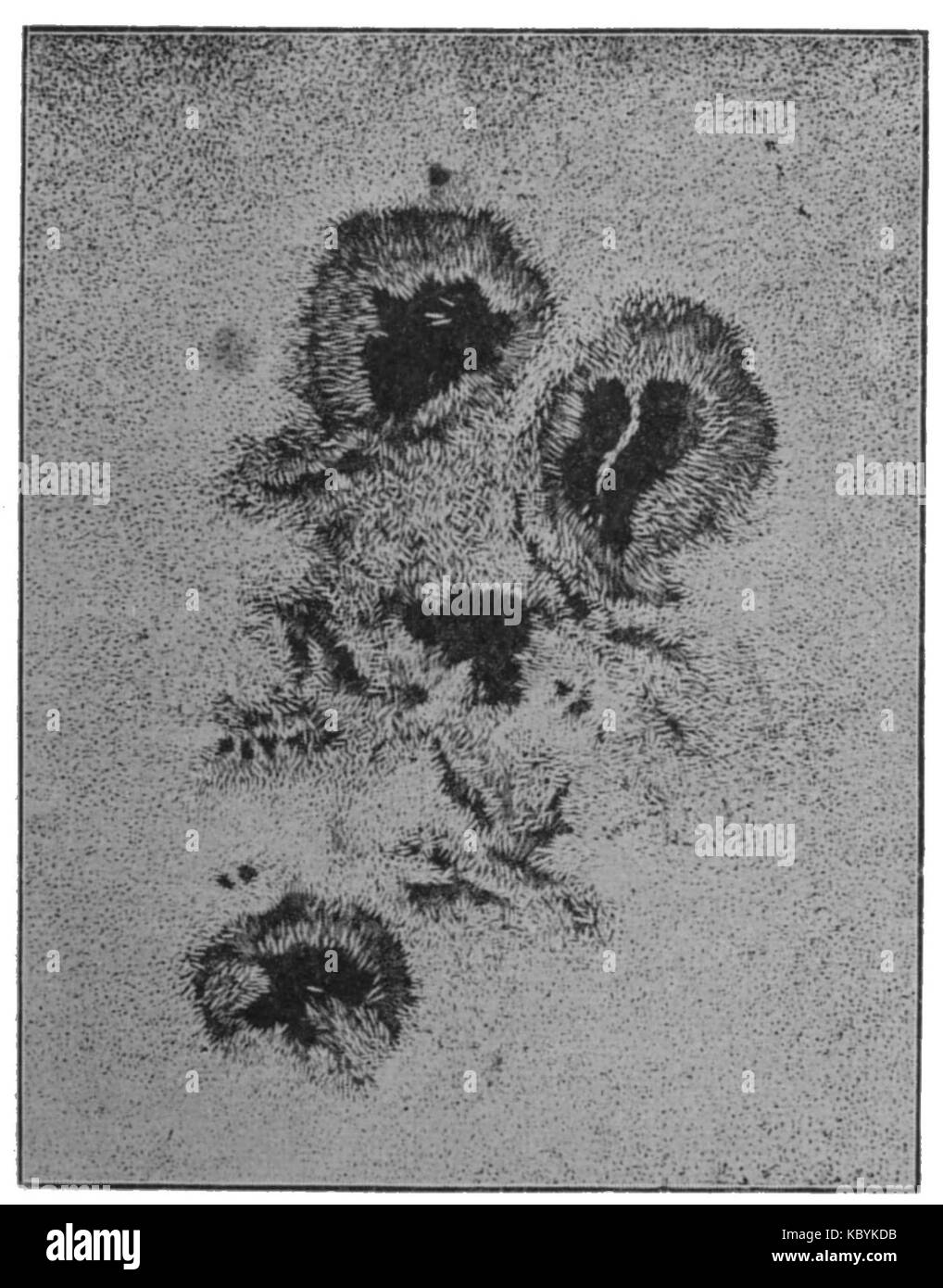 Astronaut science fiction space Black and White Stock Photos & Images ...