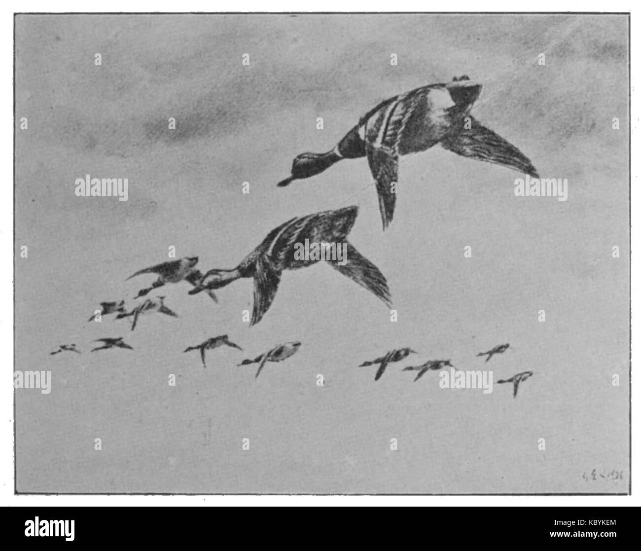 Technology travel Black and White Stock Photos & Images - Alamy