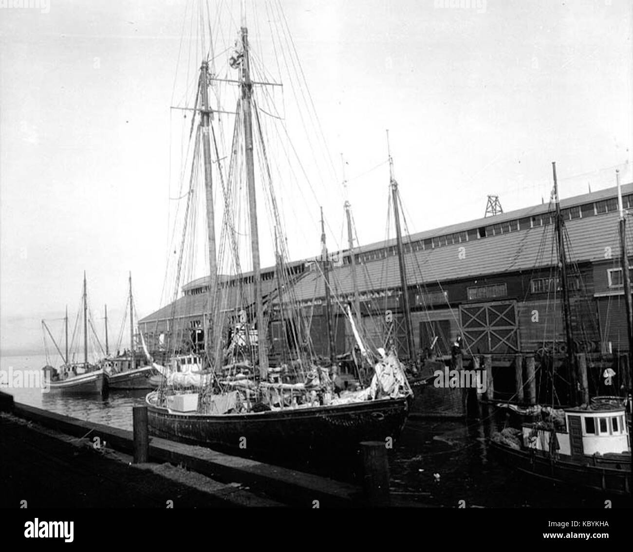 Halibut fishing boats alongside New England Fish Co's dock, Seattle ...
