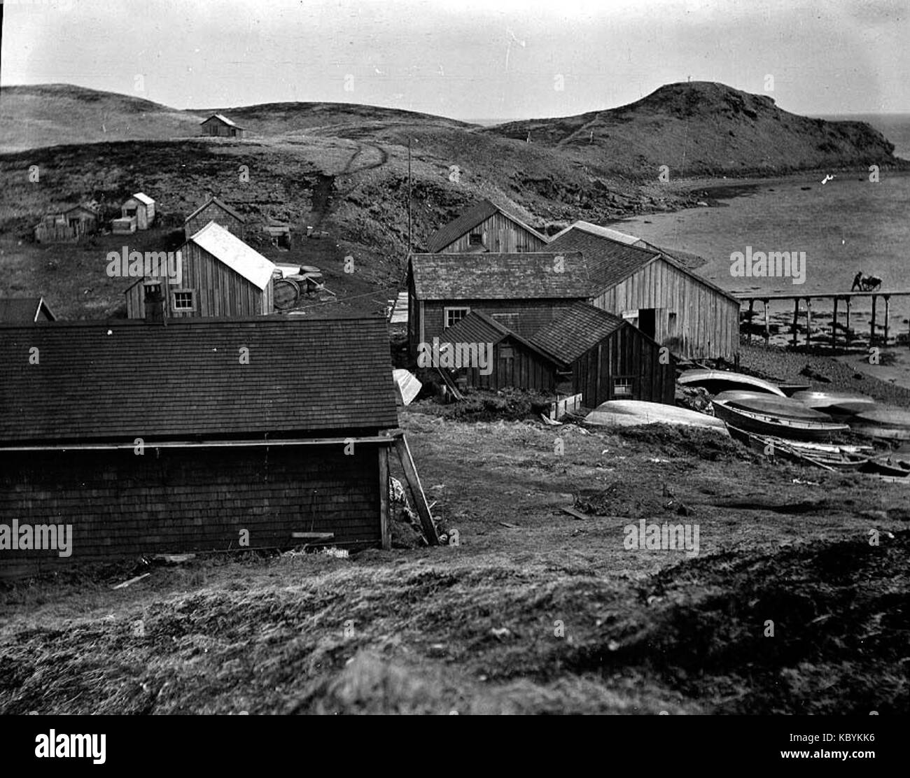 Union Fish Co's codfish station, Pavlof Harbor, Sanak Island, Alaska ...