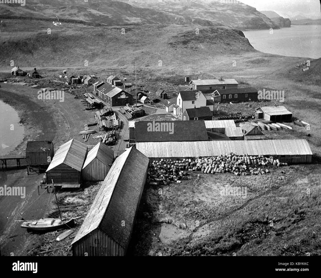 Union Fish Co's codfish station, Pirate Cove, Popof Island, Alaska ...