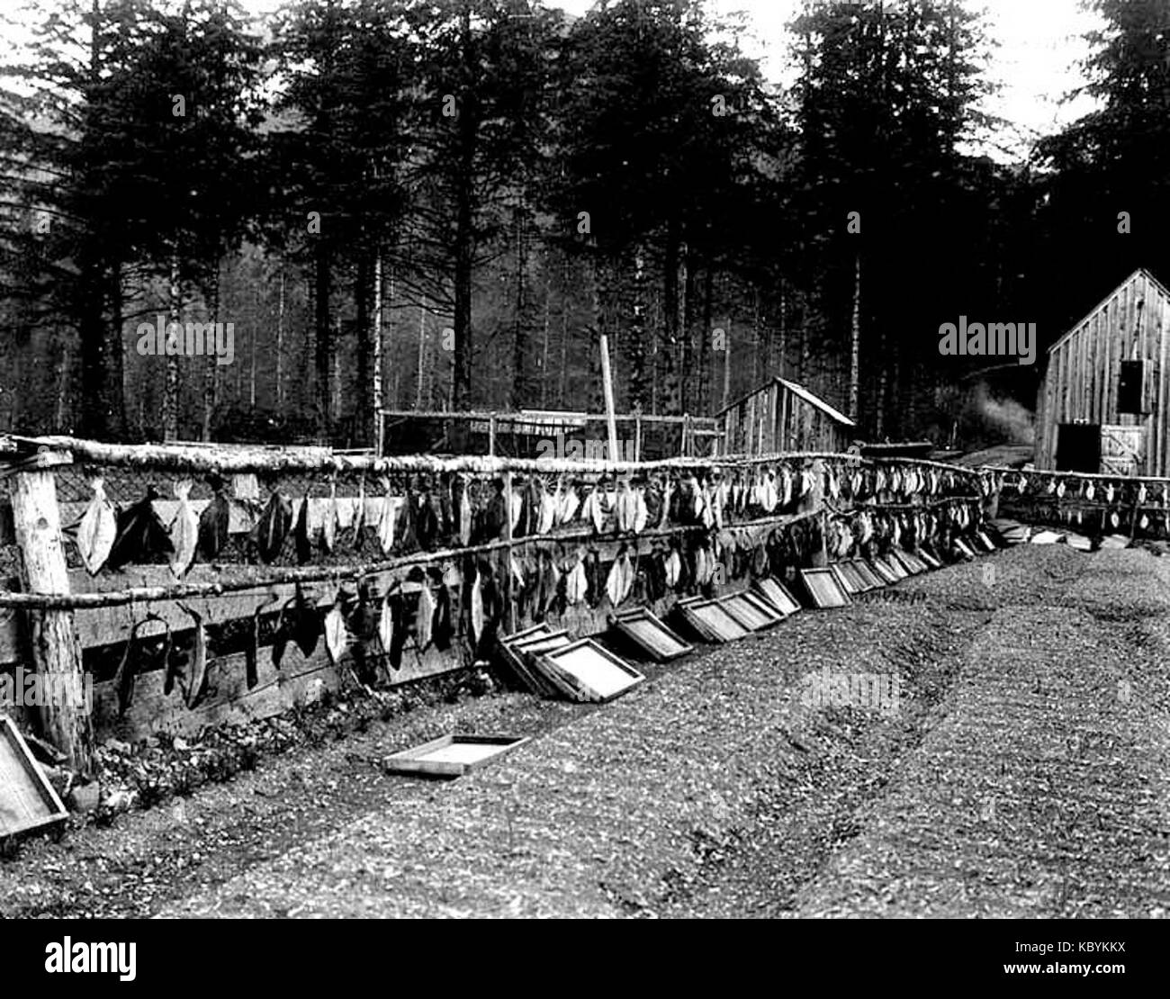 Fish cannery historic Black and White Stock Photos & Images - Alamy