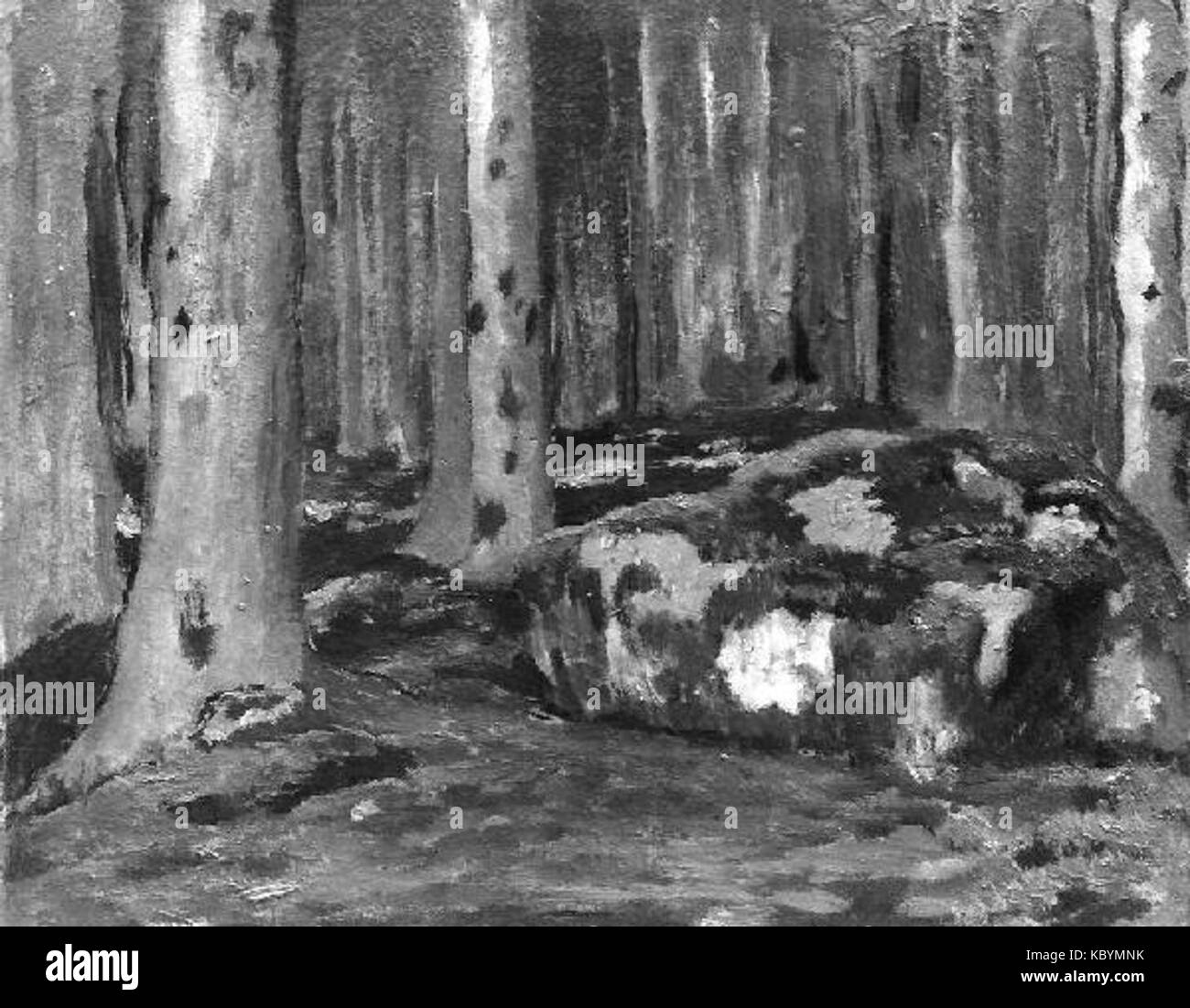 Bukove hi-res stock photography and images - Alamy