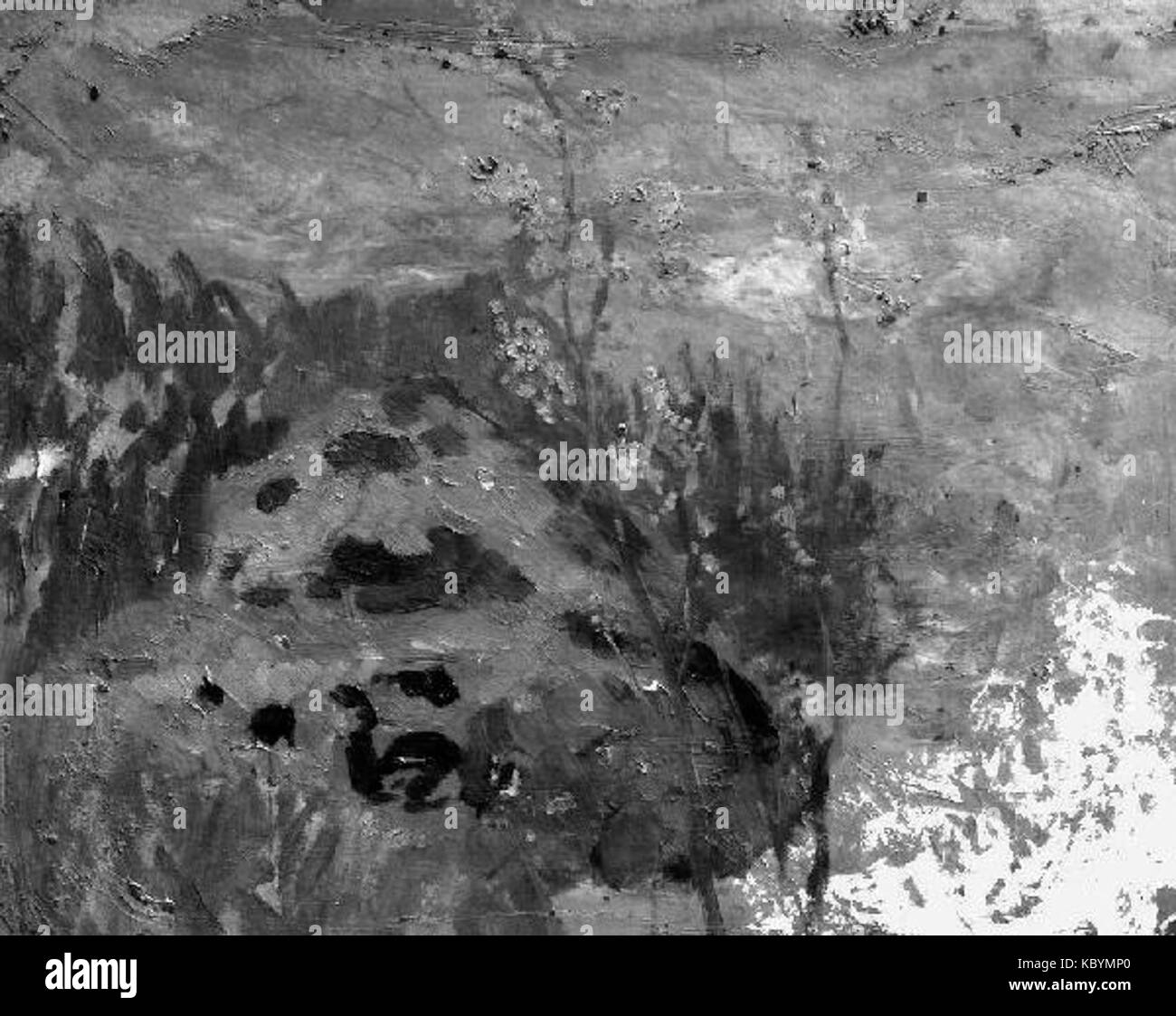 Karel Spillar 1871 1939 Zlute kvety Stock Photo - Alamy