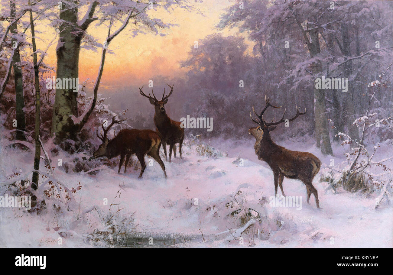 Arthur Thiele Wild im Winterwald 1874 Stock Photo - Alamy