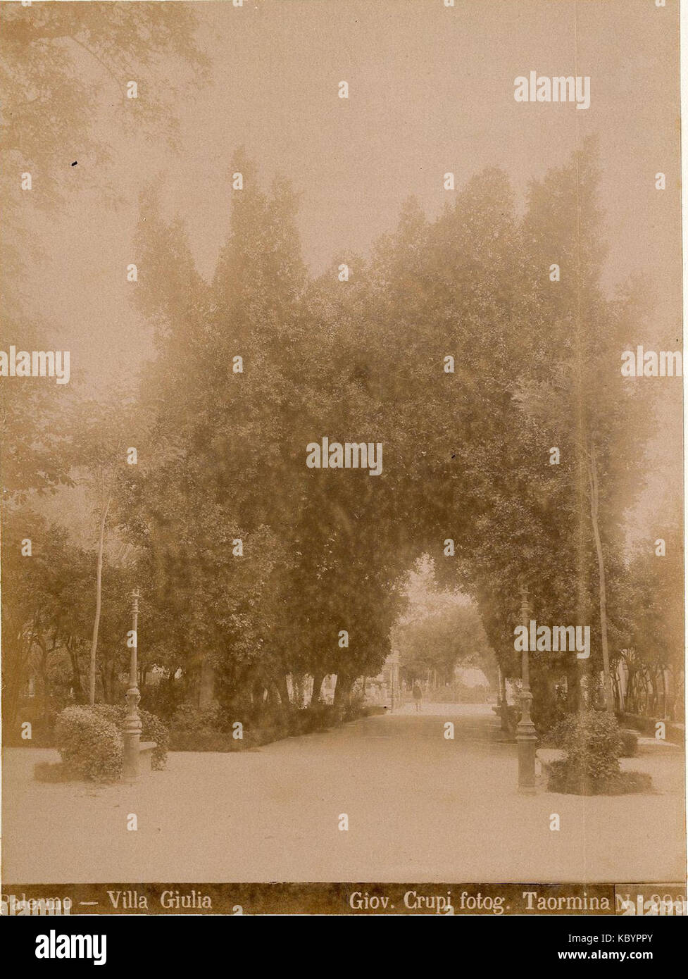 Crupi, Giovanni (1849 1925) n. 0293 Palermo Villa Giulia Stock Photo ...
