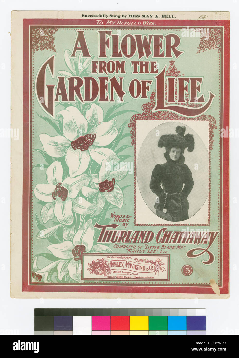 A flower from the garden of life (NYPL Hades 609383 1256842 Stock Photo ...