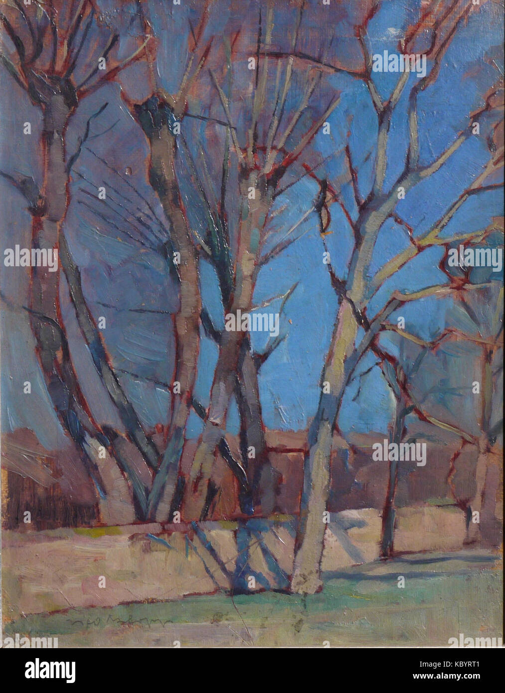 Nico Klopp, 1925, Beem vru bloem Himmel Stock Photo - Alamy