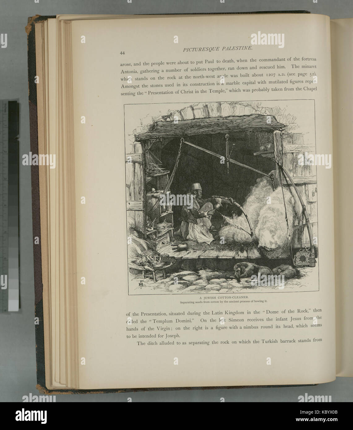 A Jewish cotton cleaner. Separating seeds from cotton by the ancient ...