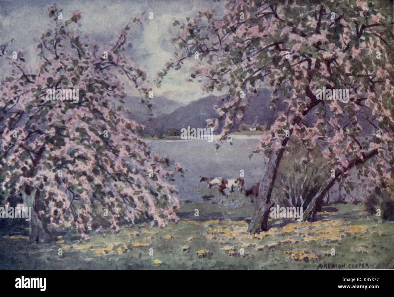 Esthwaite Water The English Lakes A. Heaton Cooper Stock Photo - Alamy