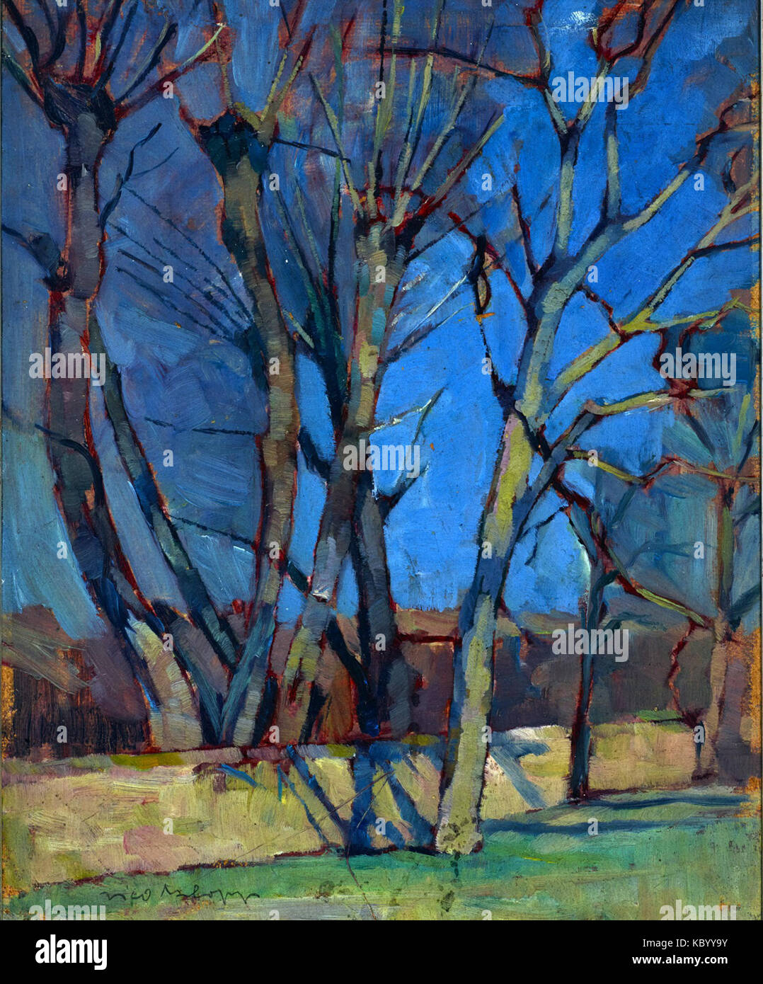 Nico Klopp Arbres sur ciel bleu Stock Photo - Alamy