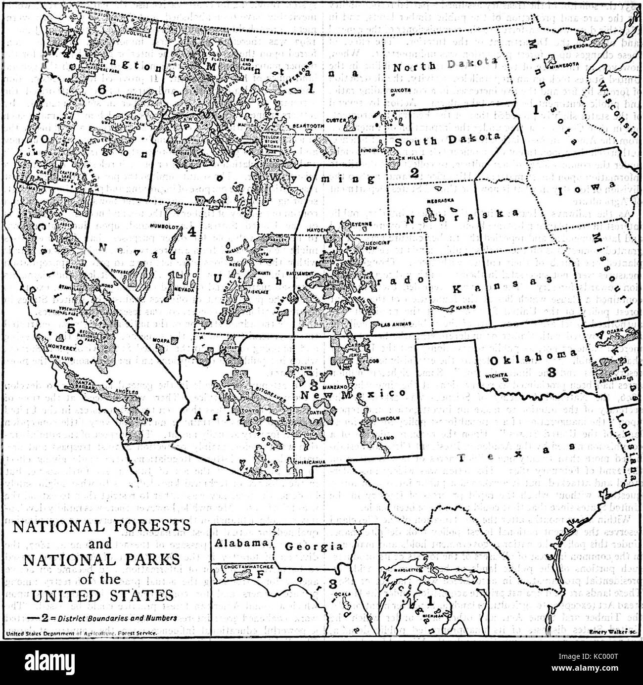 EB1911 Forests and Forestry national forests and parks of the U.S Stock ...