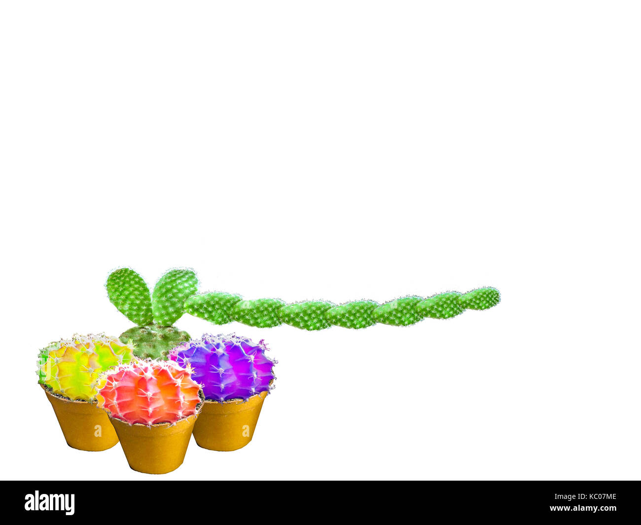 green cactus long hand and three cactus color ball friend isolated ...