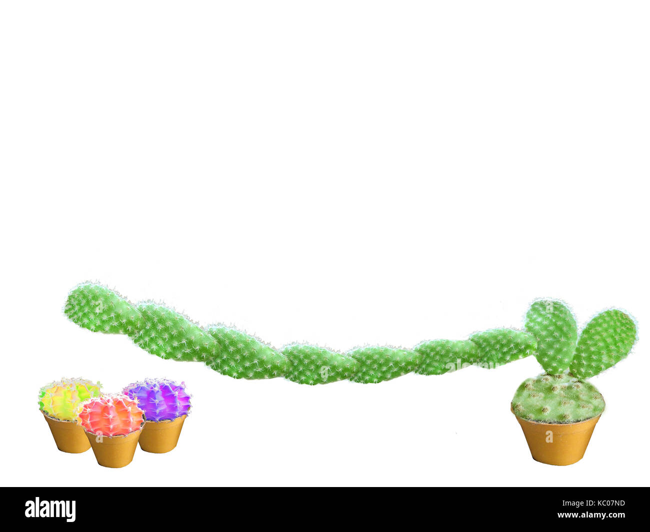 green cactus long hand and three cactus color ball friend isolated ...