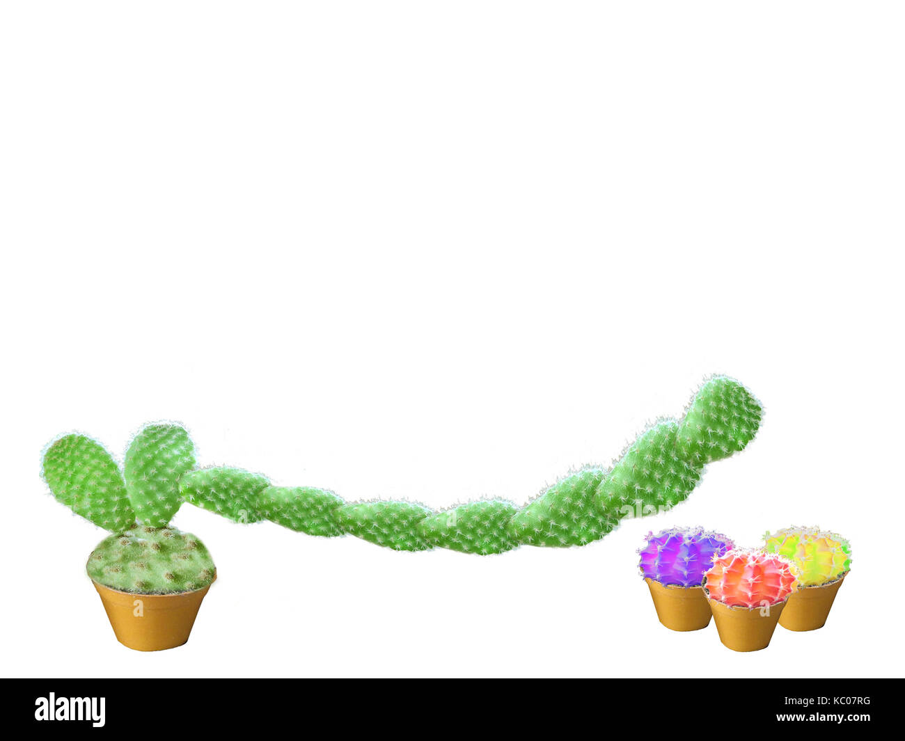 green cactus long hand and three cactus color ball friend isolated ...