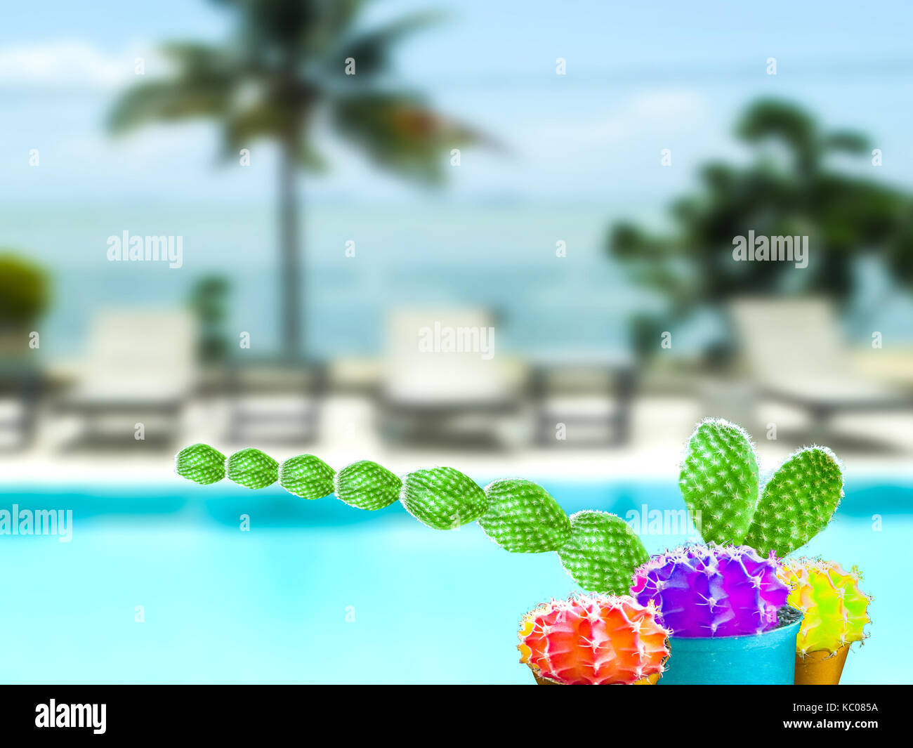 green cactus long hand and three cactus color ball friend swimming pool ...