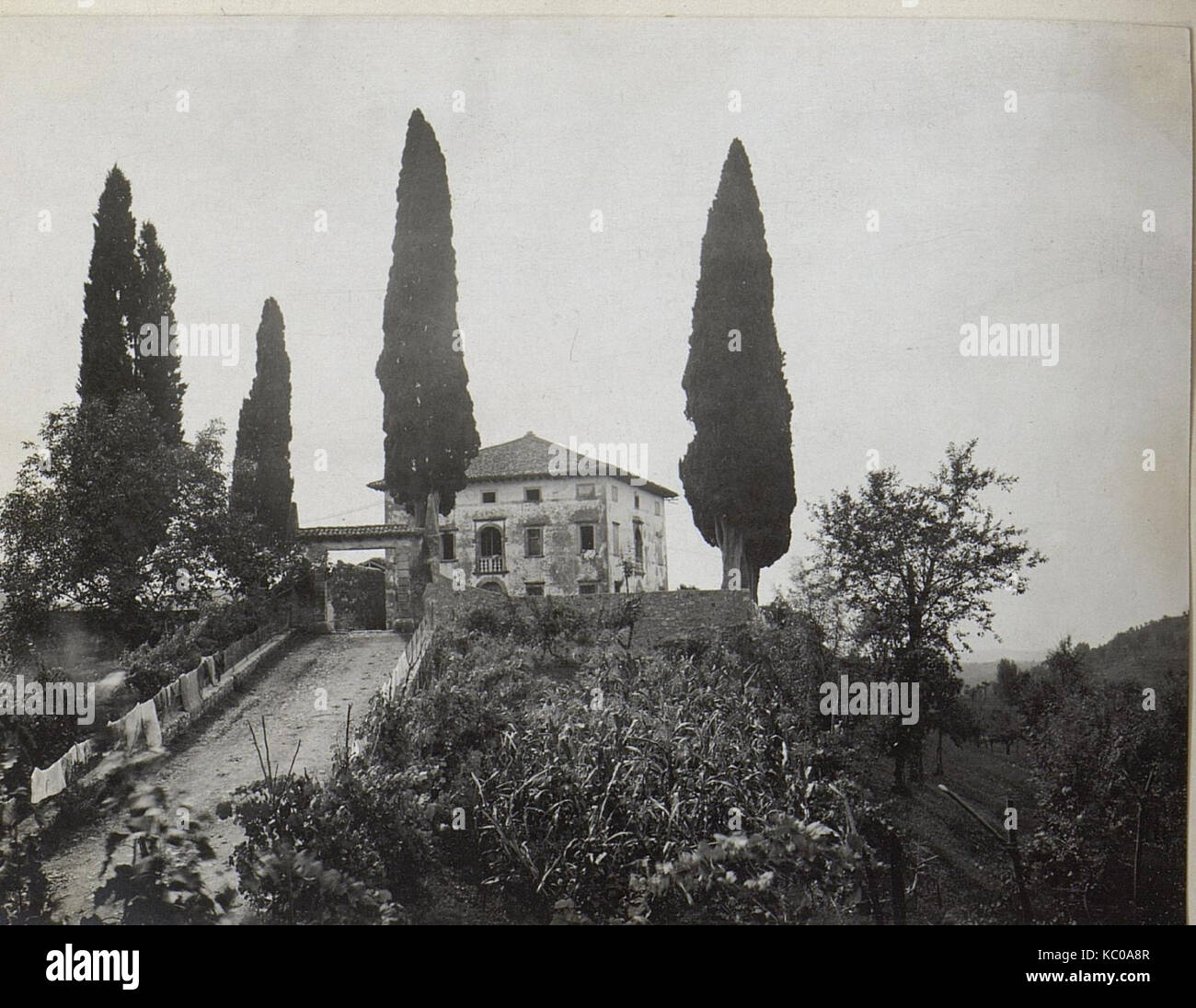 Tarzo hi-res stock photography and images - Alamy