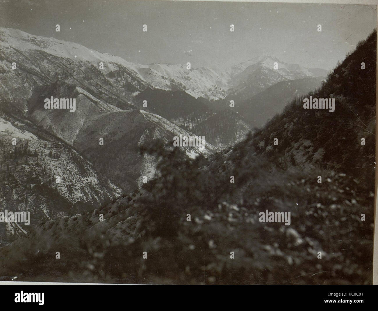 A panoramic view of Monte Grappa, Italy, taken during World War I ...