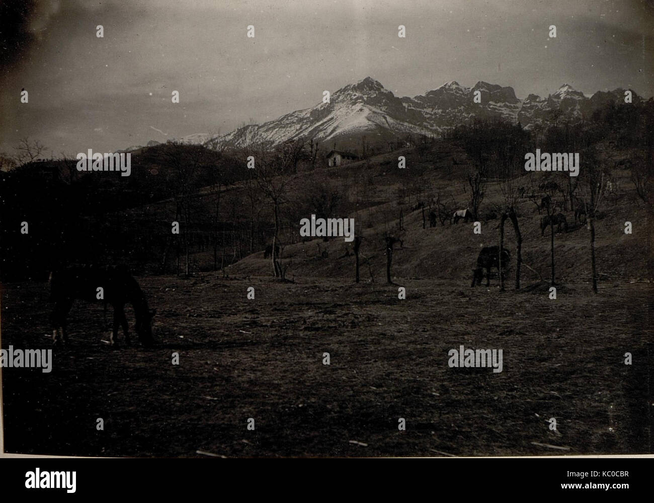 Murle. (BildID 15641269 Stock Photo - Alamy