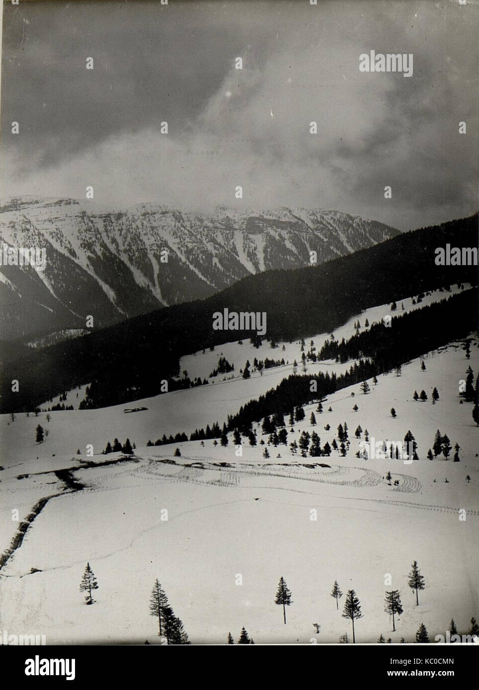 This panoramic image, taken from the Hochstand 9 viewpoint, shows a ...