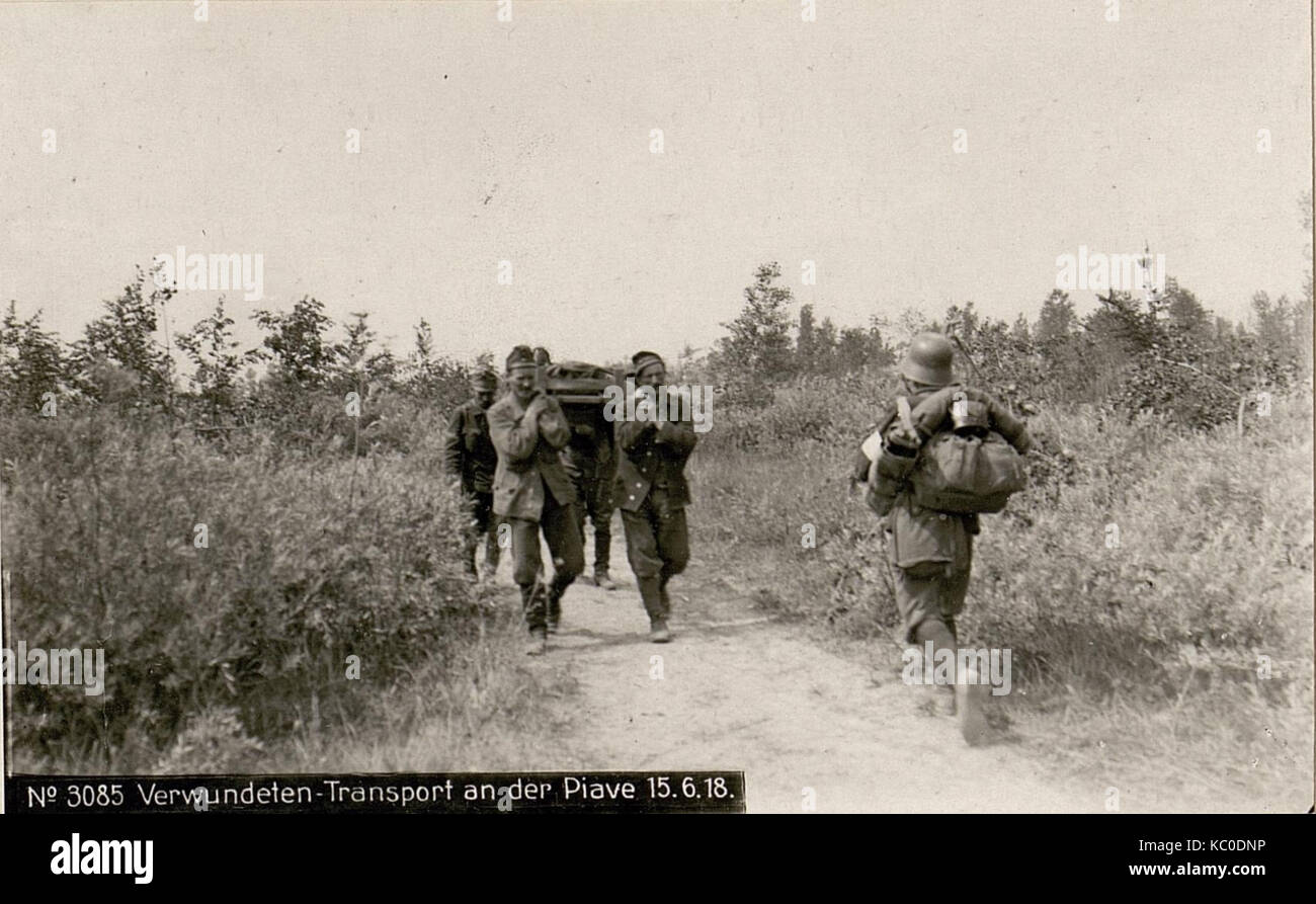 This historical photograph shows a wounded transport unit on the Piave ...
