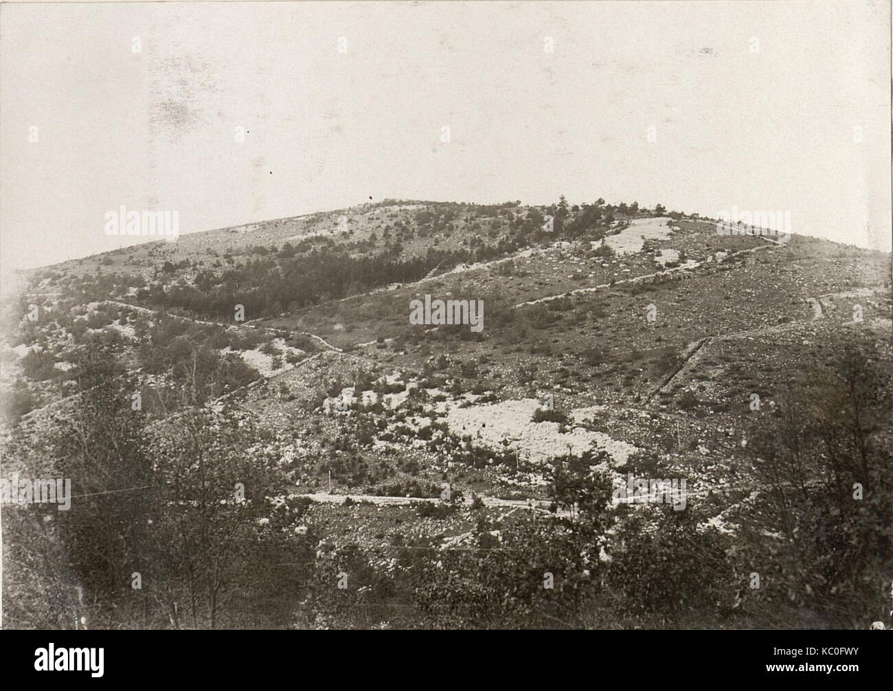 Fajti hrib hi-res stock photography and images - Alamy