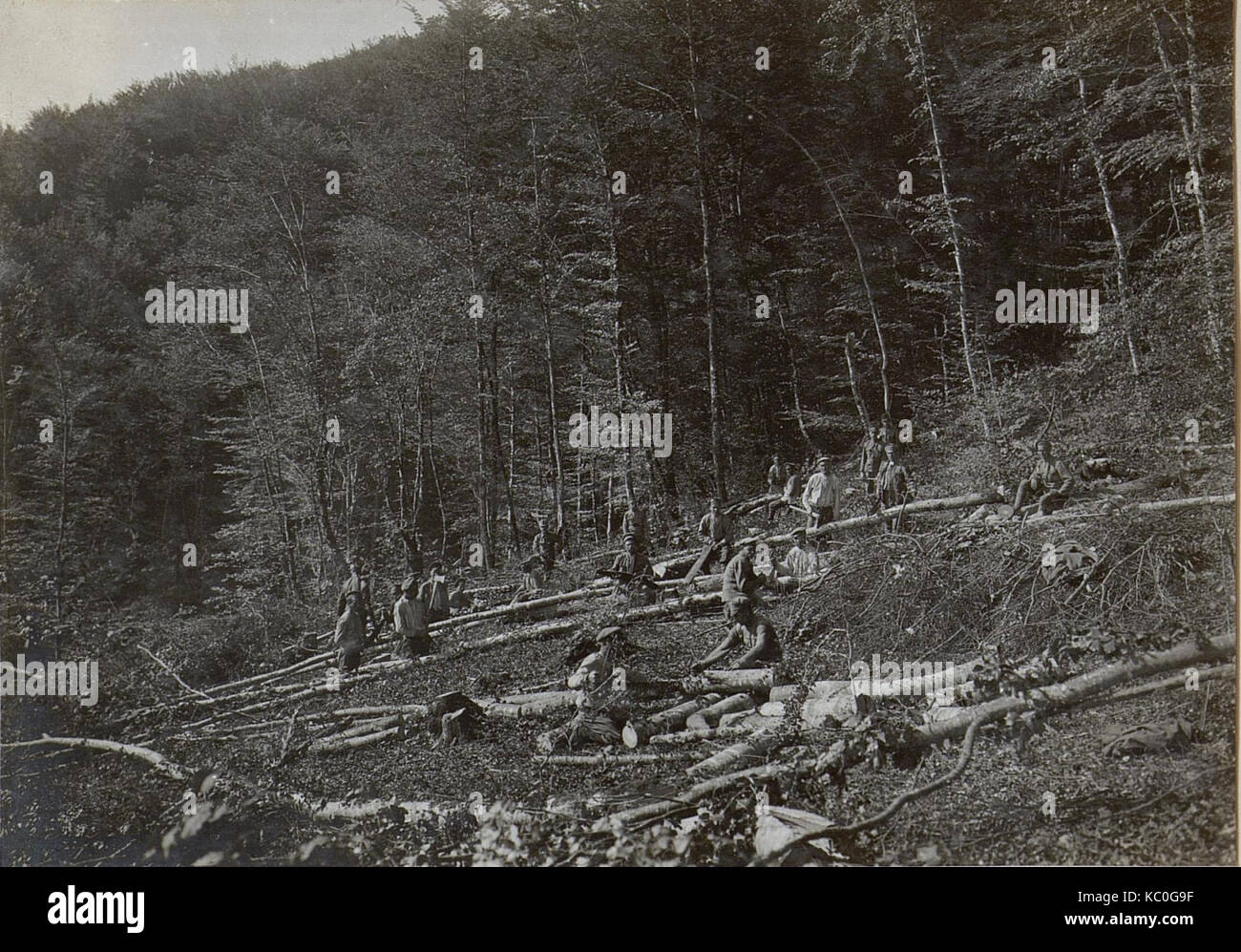 An image showing the process of wood and coal extraction in Neudegg ...