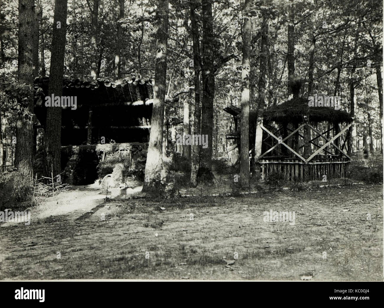 This photograph, titled 'Eigene Ruhestellungen im Wald bei Lokietka ...