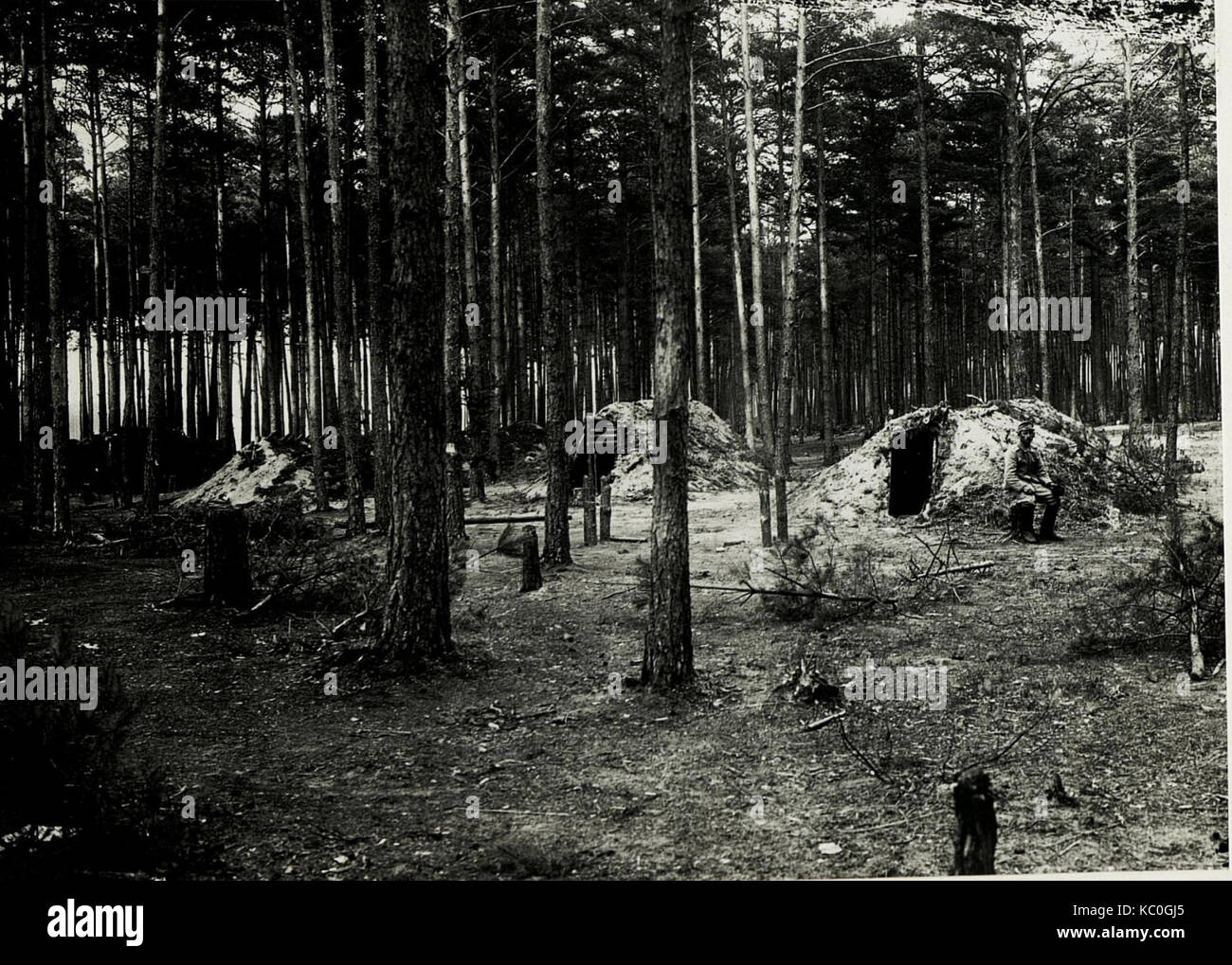 A historical image depicting a Russian Cossack camp in the Demba forest ...