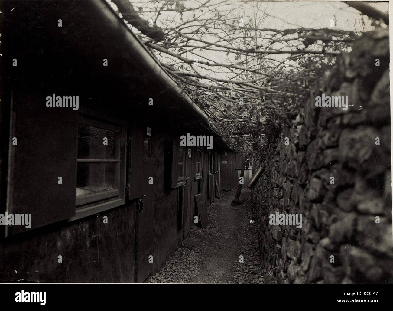 An image depicting the Sturmdolinen Baracke, a military barrack ...