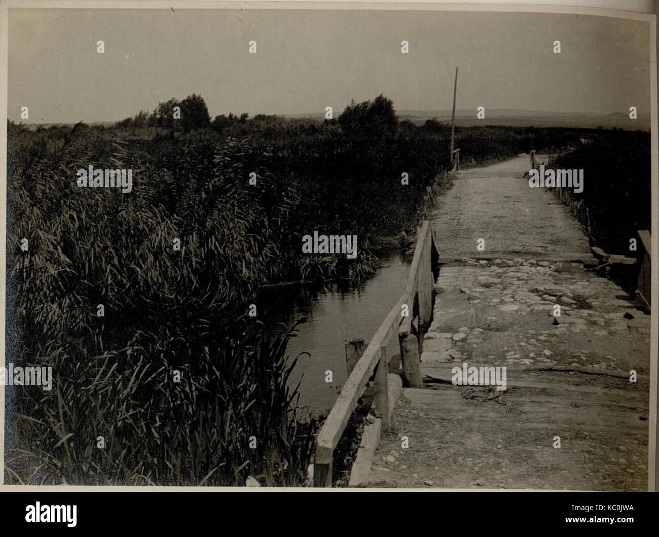 Skamander hi-res stock photography and images - Alamy