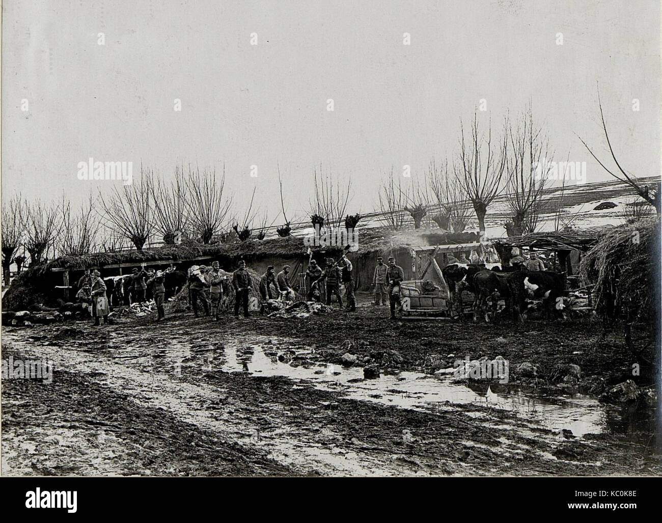This historical image depicts a butcher shop (Fleischhauerei ...