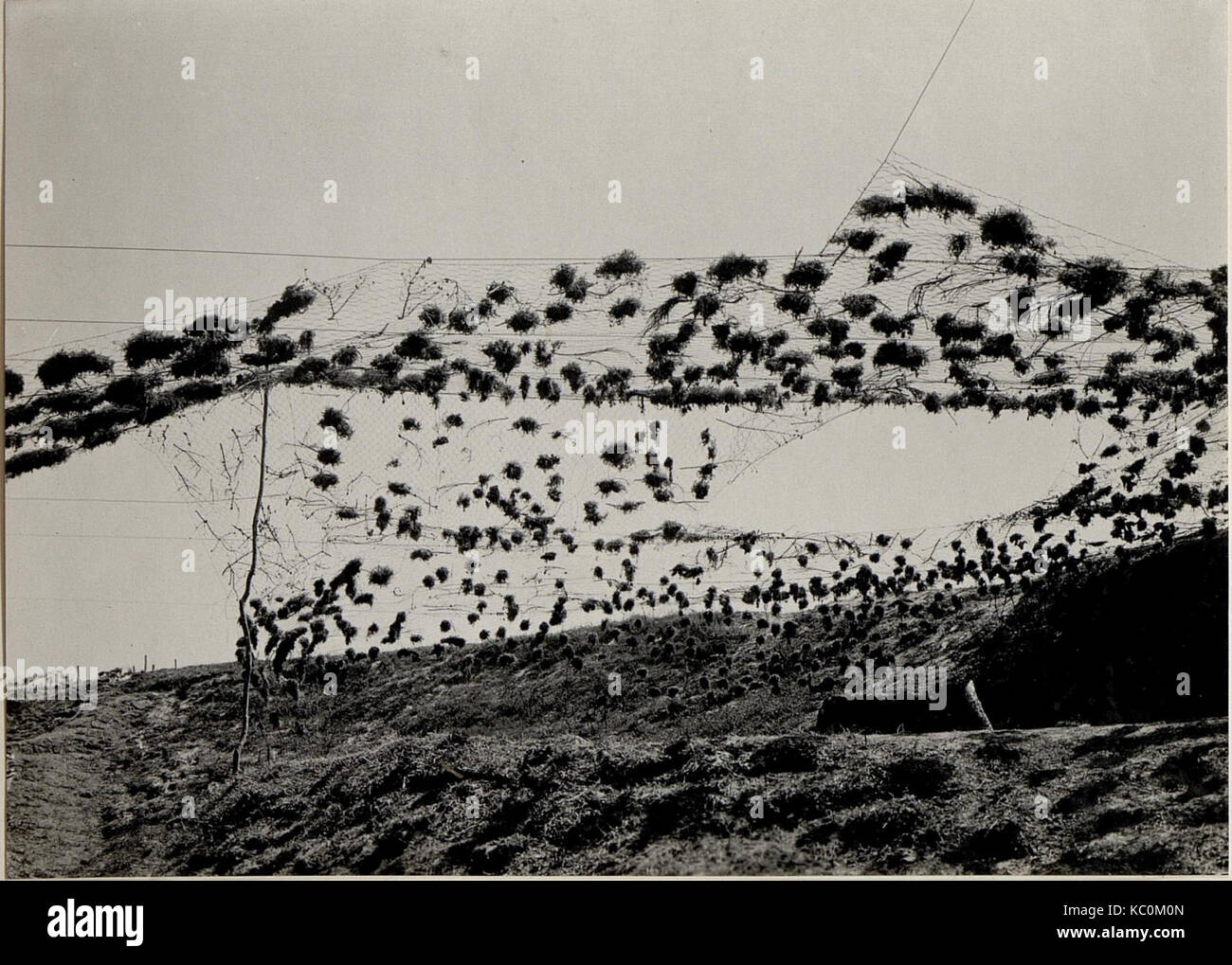 Maskierung hi-res stock photography and images - Alamy