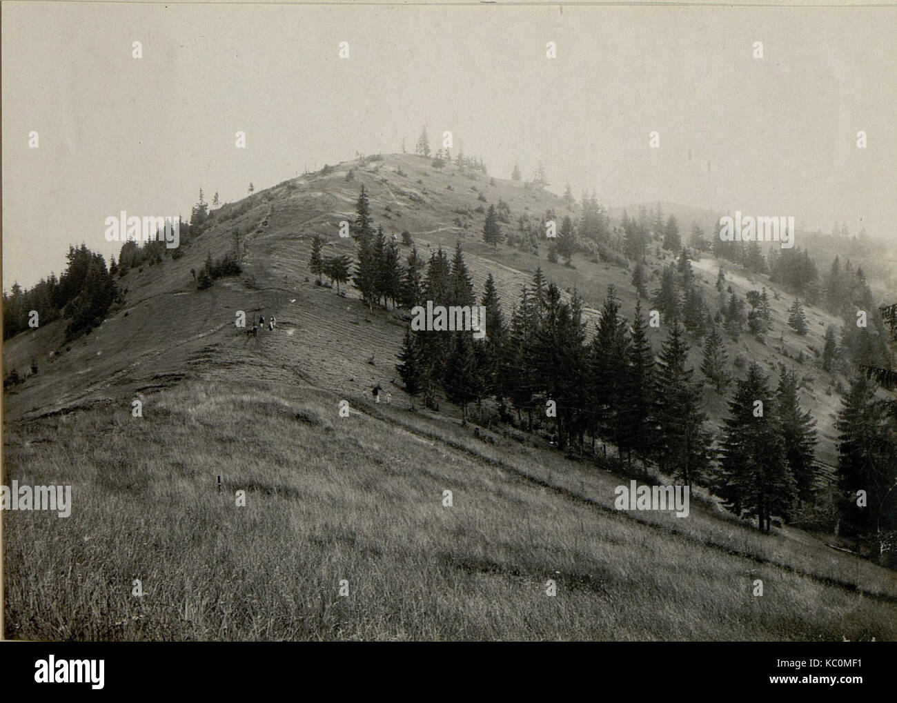 Kuppe hi-res stock photography and images - Alamy