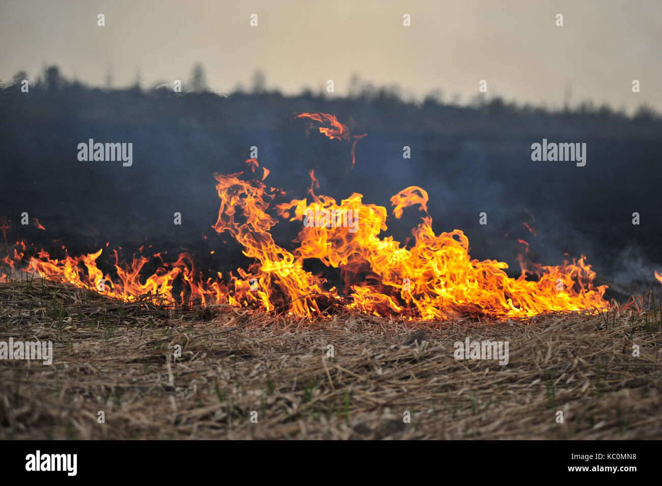 Fields of fire Stock Photo - Alamy