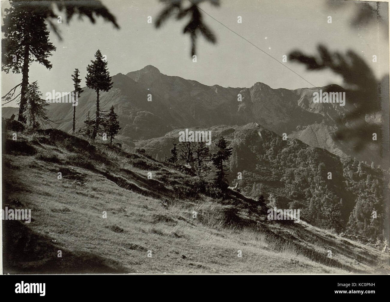 Hoher Trieb. Kote 2197. Aufgenommen am 23.September 1915. (BildID ...