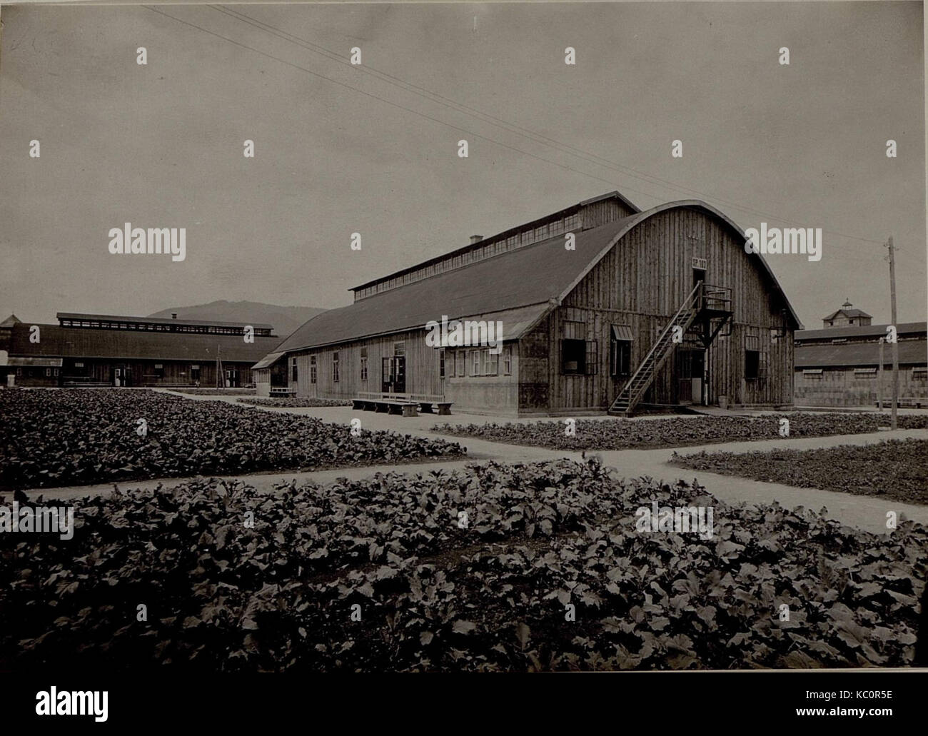 Interne Baracke (BildID 15484246 Stock Photo - Alamy