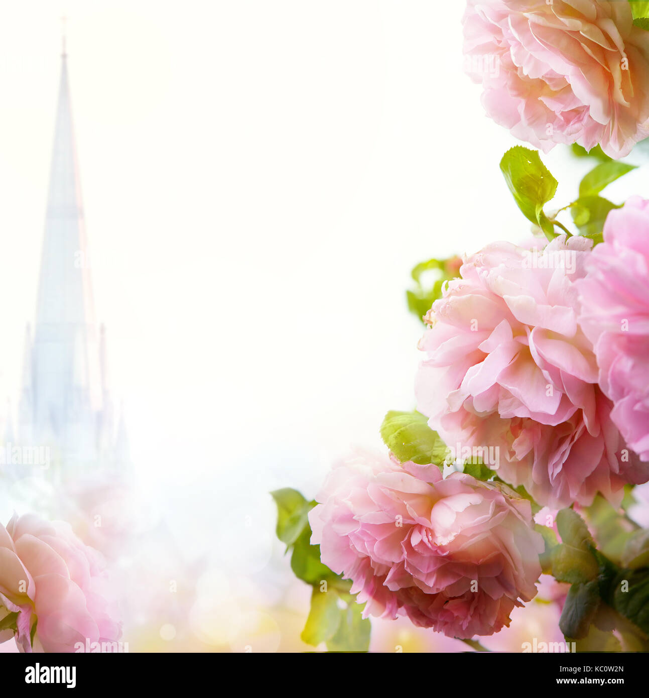 abstract Beautiful morning floral border background Stock Photo - Alamy