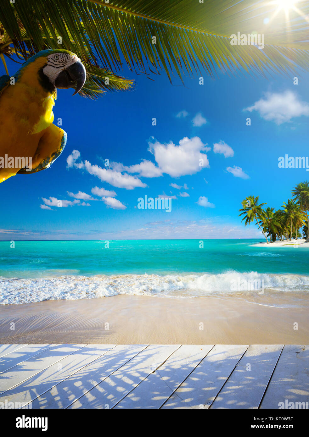 Art beautiful caribbean tropical hi-res stock photography and images ...