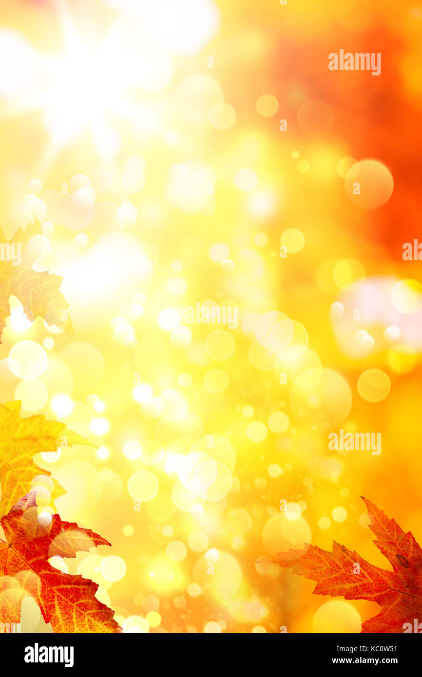 art Autumn yellow leaf background Stock Photo - Alamy