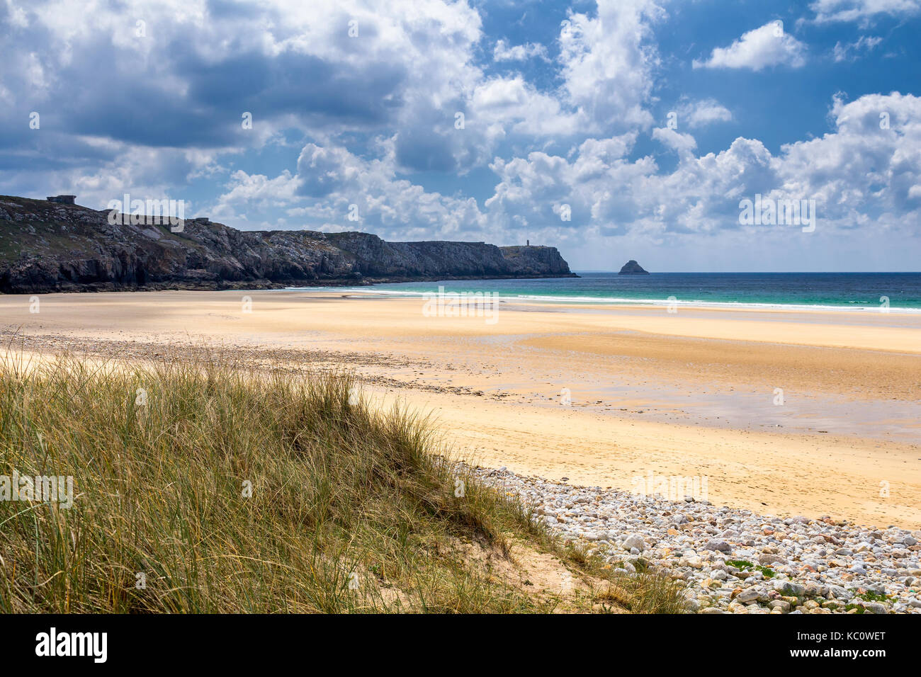 Path to sand beach with beachgrass. Way to the wide sandy beaches of ...