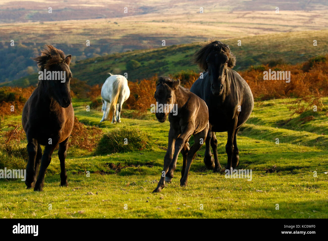 Meltor hi-res stock photography and images - Alamy