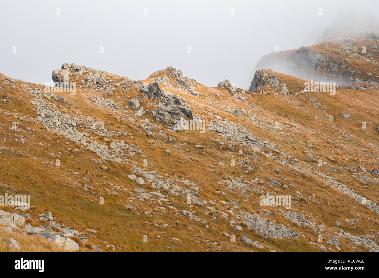 Mountain top ridge in hi-res stock photography and images - Alamy