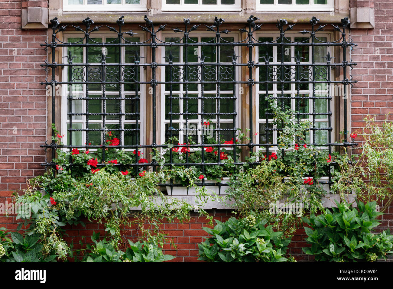 Beautiful window with flowers of a old house in Amsterdam Stock Photo ...