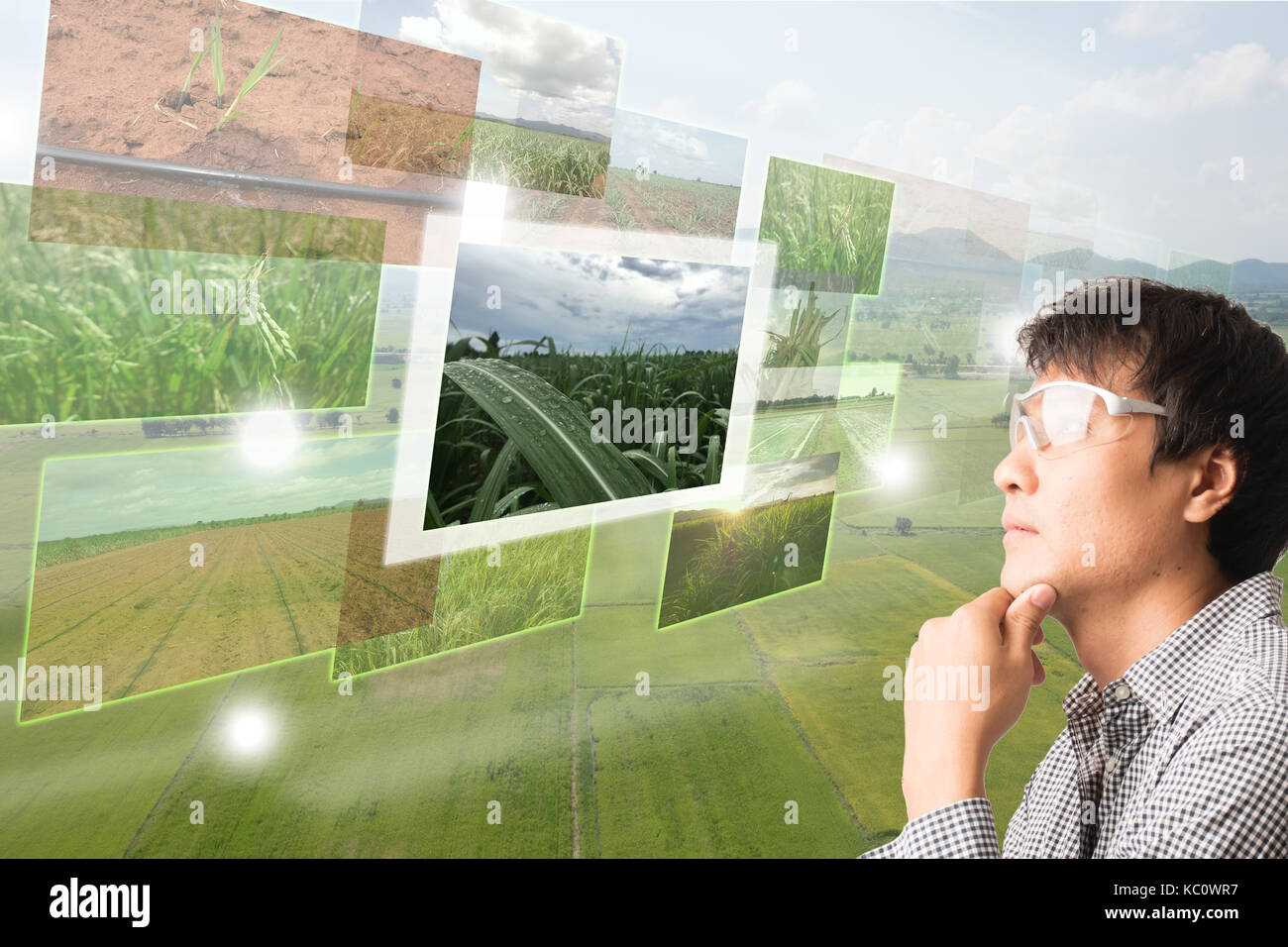 iot,Internet of things(agriculture concept),smart farming,industrial ...