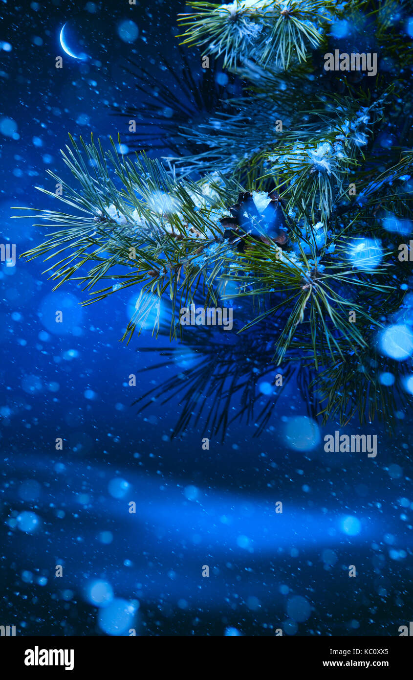 Christmas tree on night background Stock Photo - Alamy